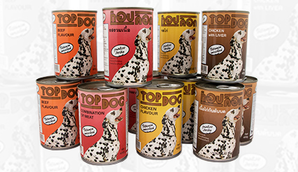 KINGFISHER HOLDINGS LIMITED