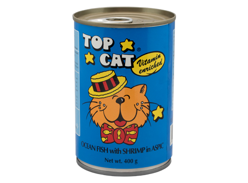 KINGFISHER HOLDINGS LIMITED