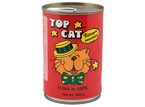 KINGFISHER HOLDINGS LIMITED