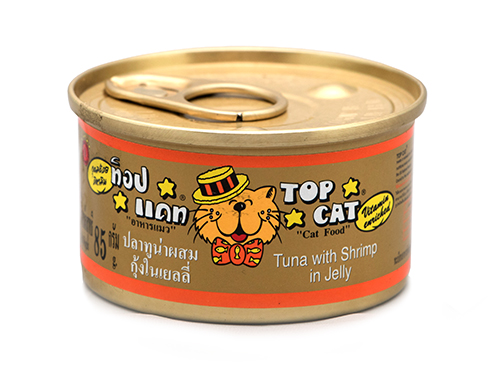 KINGFISHER HOLDINGS LIMITED